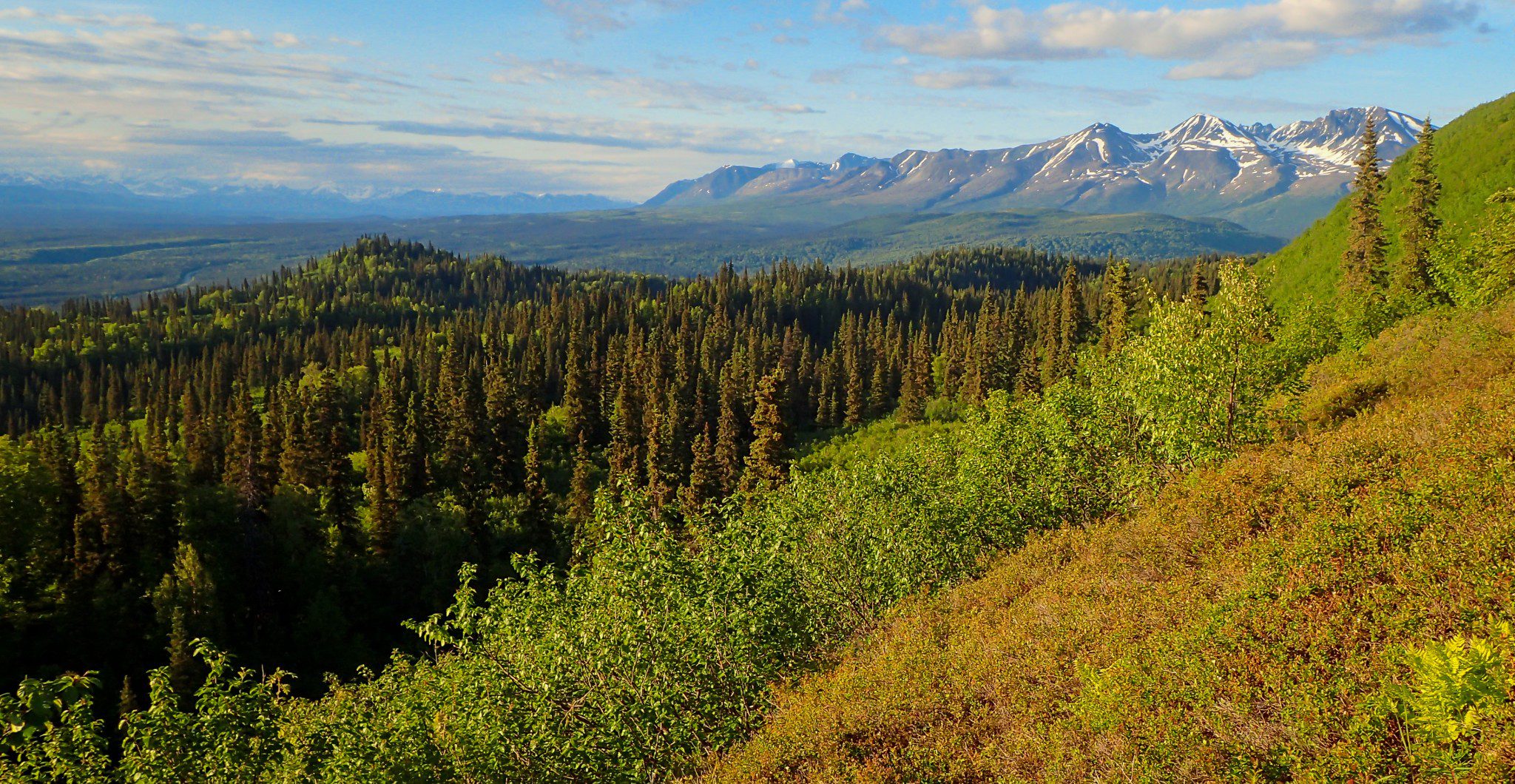 Denali State Park – Alaska Nature Guides