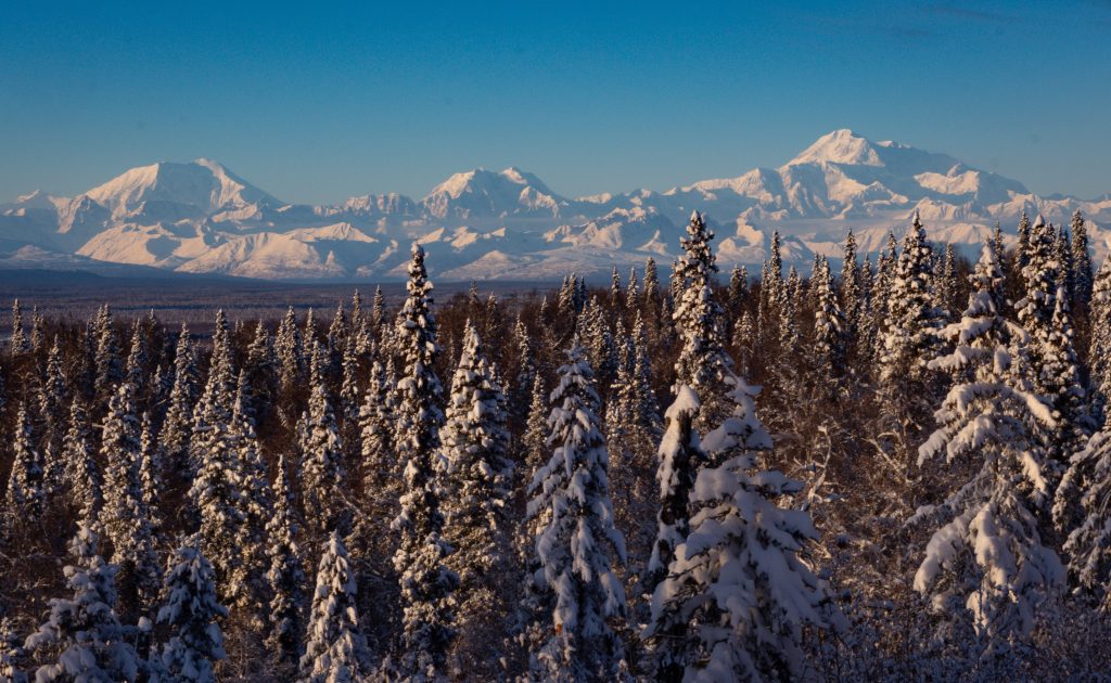 Contact Us – Alaska Nature Guides
